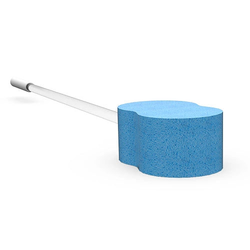 LONG HANDLE SPONGE – directmobility